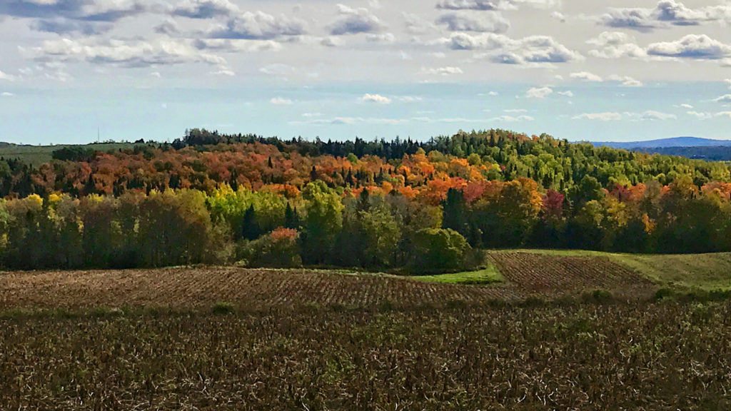 A Crisp Autumn Morning – Strike Fumigants